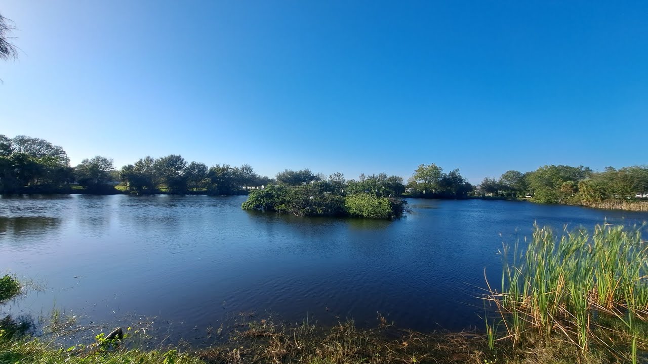 Venice Audubon Rookery - YouTube