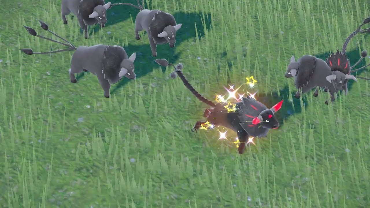 Shiny Fire Tauros after a very annoying 3 hours in Pokémon Scarlet ...