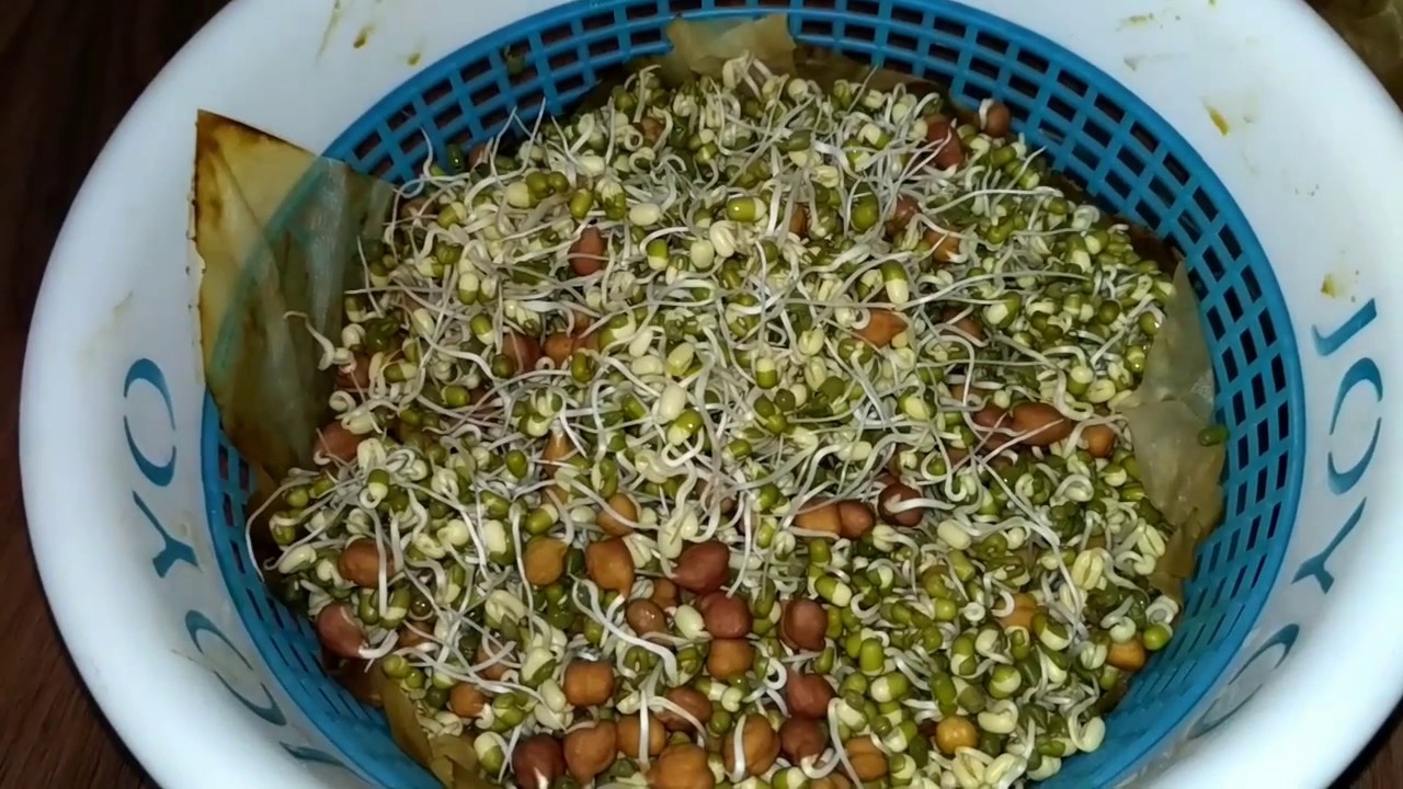 How to make sprouts at Home without sprout maker - ankurit dal - sprout ...
