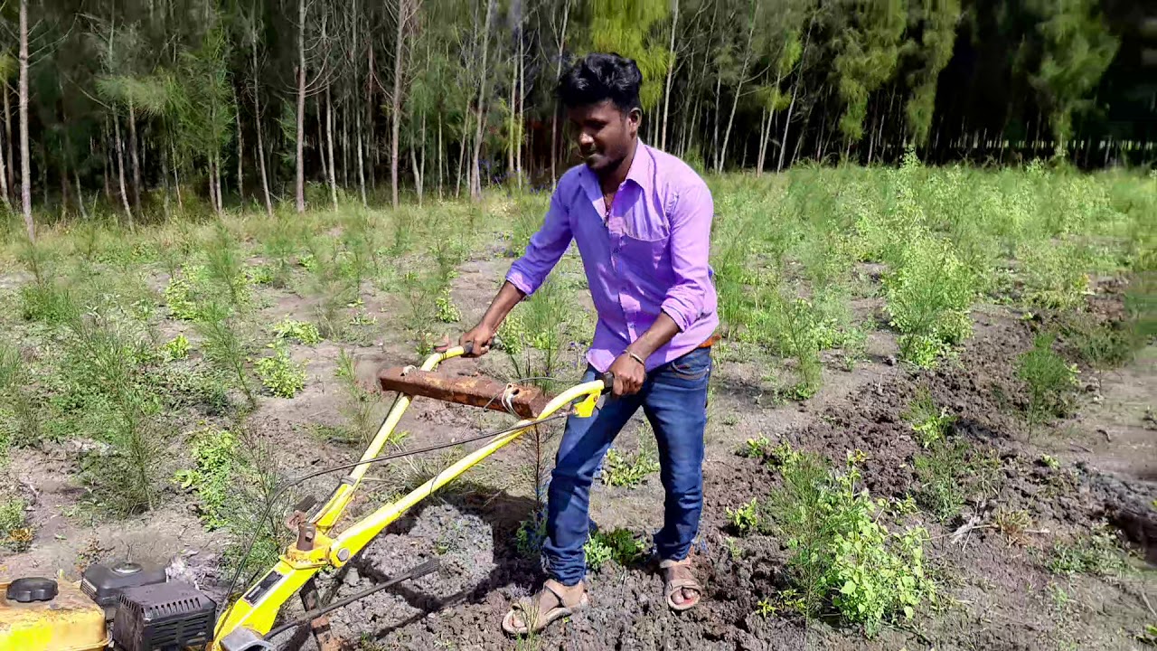 27 December 2019 - YouTube