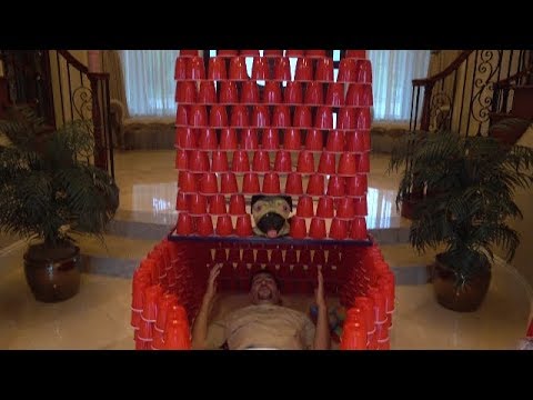 BUILDING MY DOG HIS DREAM HOUSE!!! | MAMA RUG AND PAPA RUG - YouTube