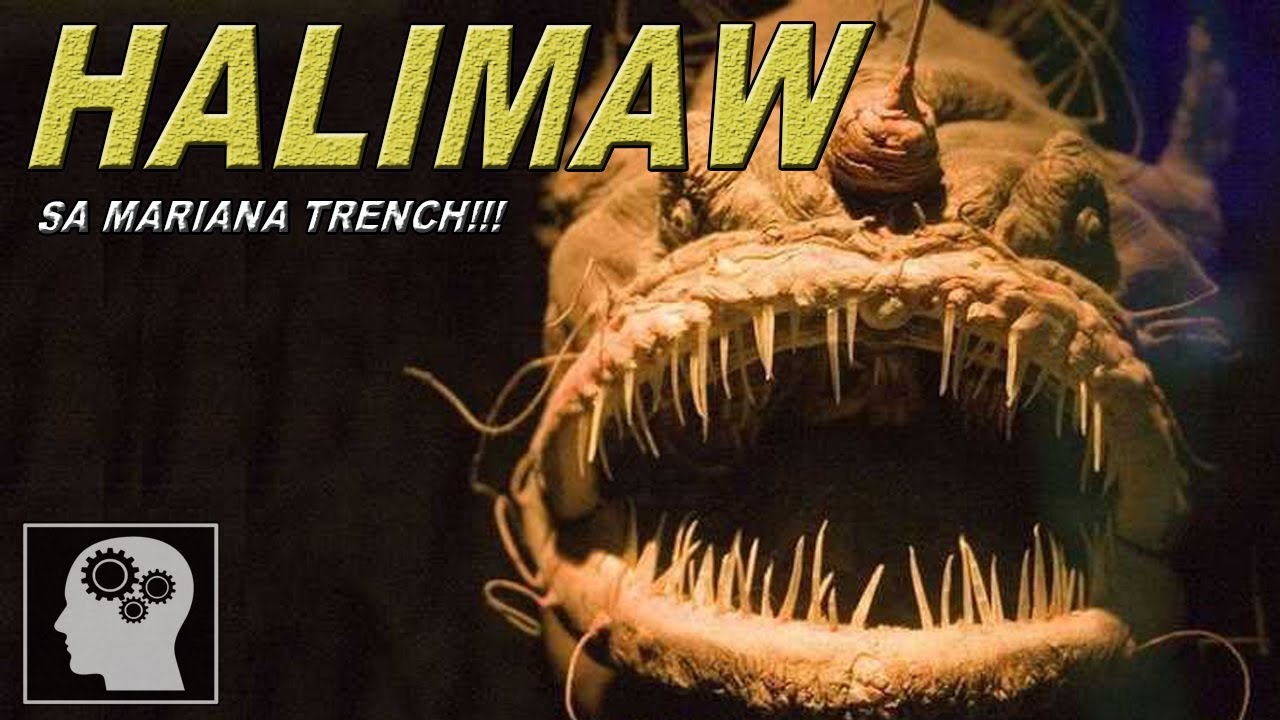 HALIMAW sa ilalim ng MARIANA TRENCH !!!! | Jevara PH - YouTube