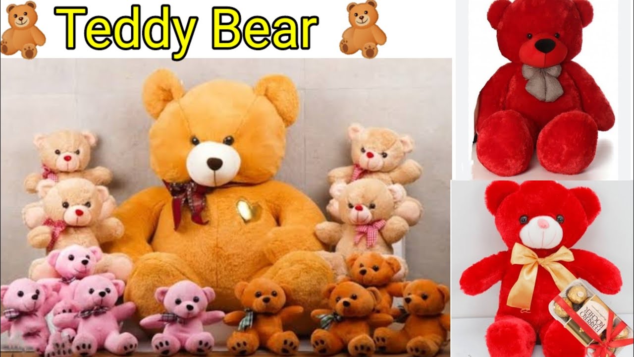 Cute Teddy Bear Collection/Shopping Teddy Bear/15 Teddy Bear Collection ...