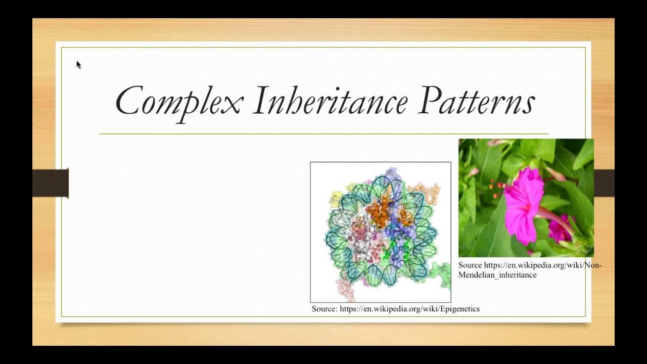 Complex Inheritance Patterns - YouTube