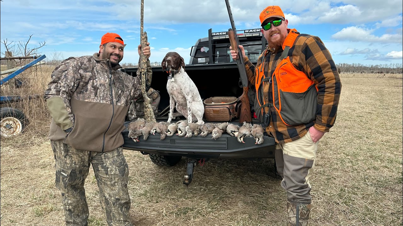 Long Island Chukar upland hunt hosted by Elite Long Island Outfitters ...