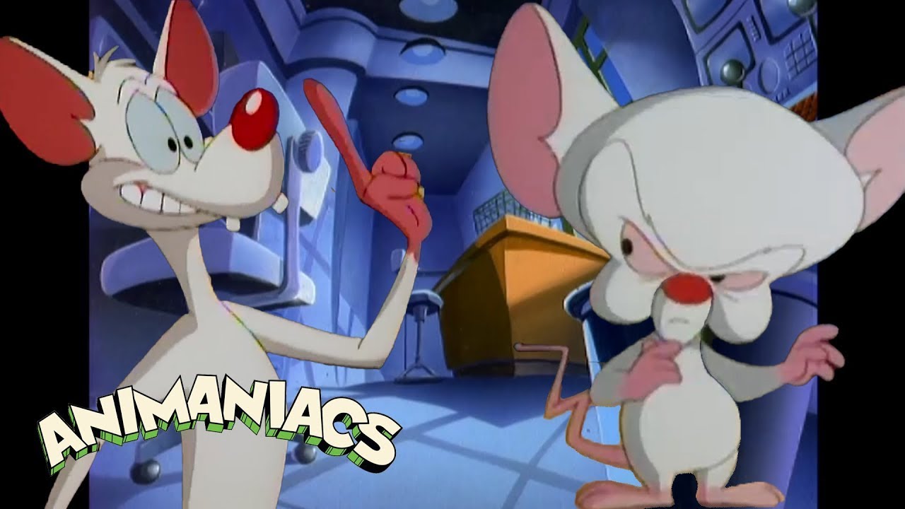 Lo mejor de Pinky y Cerebro | @GenWBEspana - YouTube