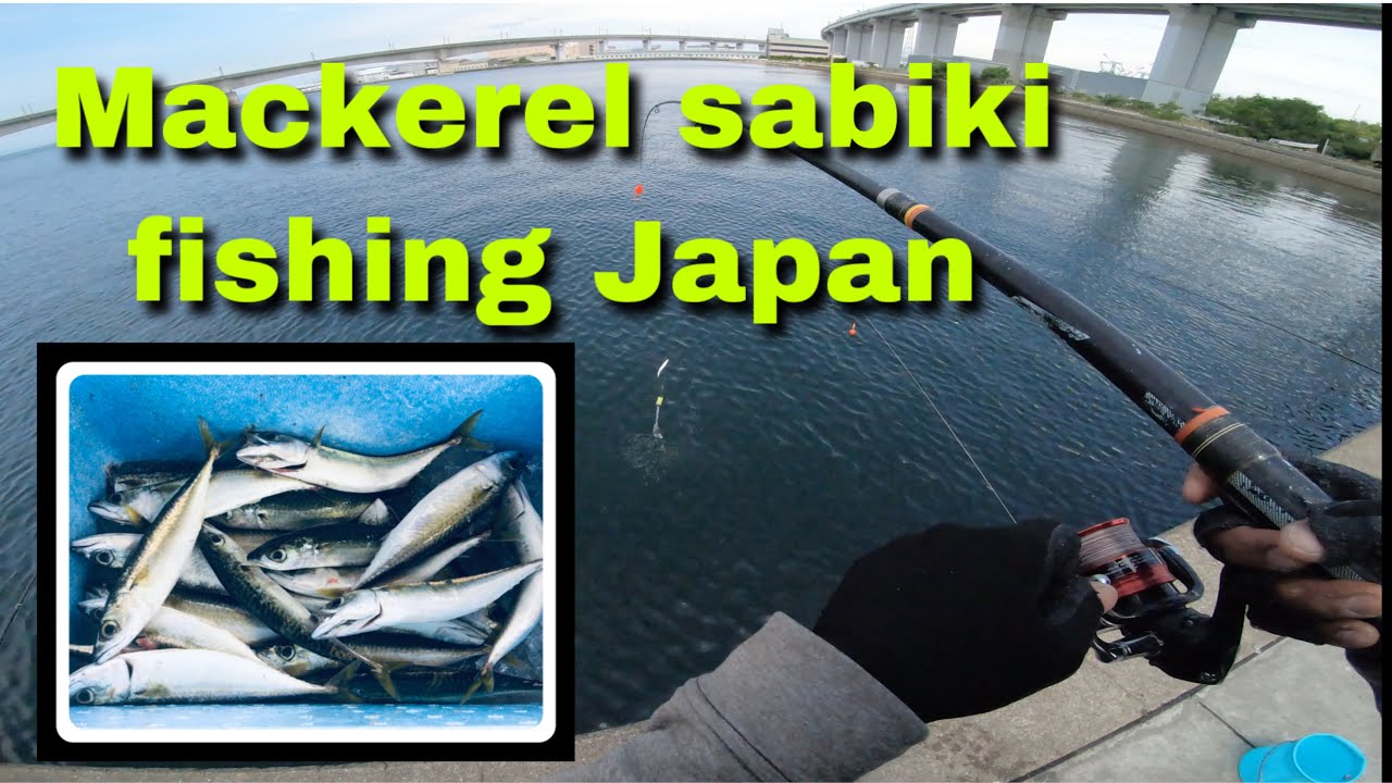 Japan traditional fishing HOW TO CATCH MACKEREL FISH |SHORE FISHING ...