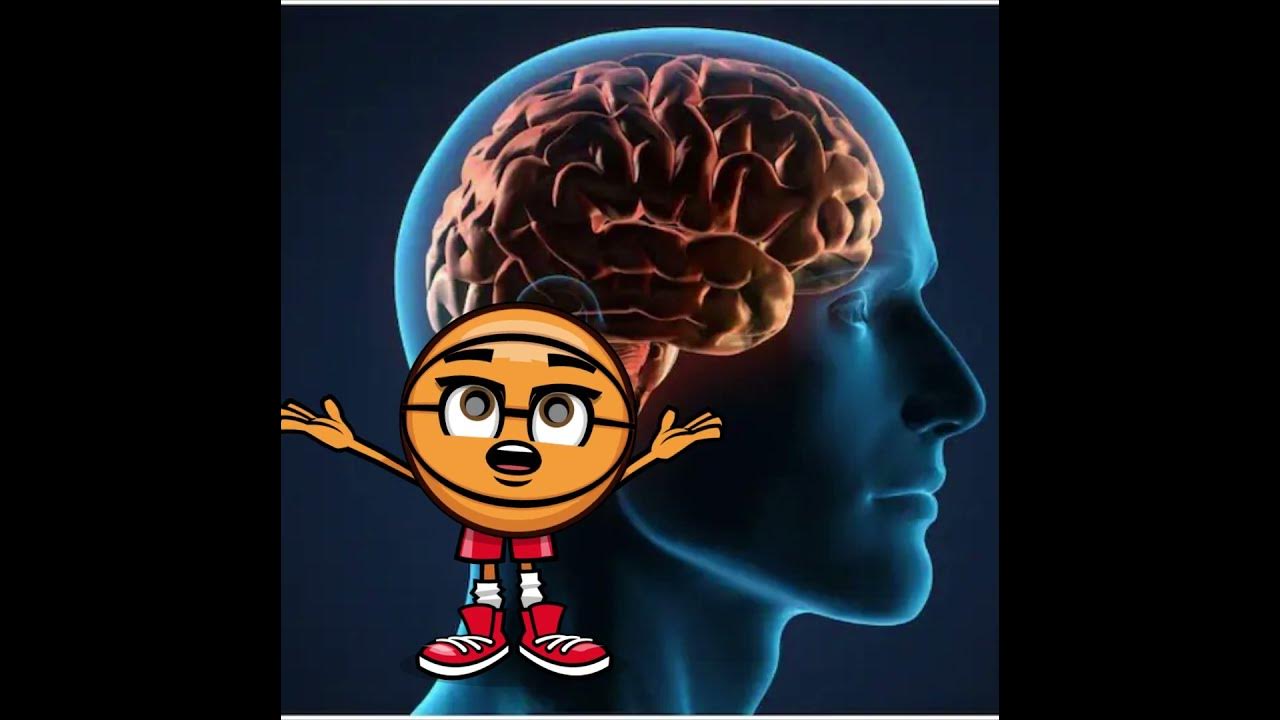 Amazing information of Human brain #shorts - YouTube