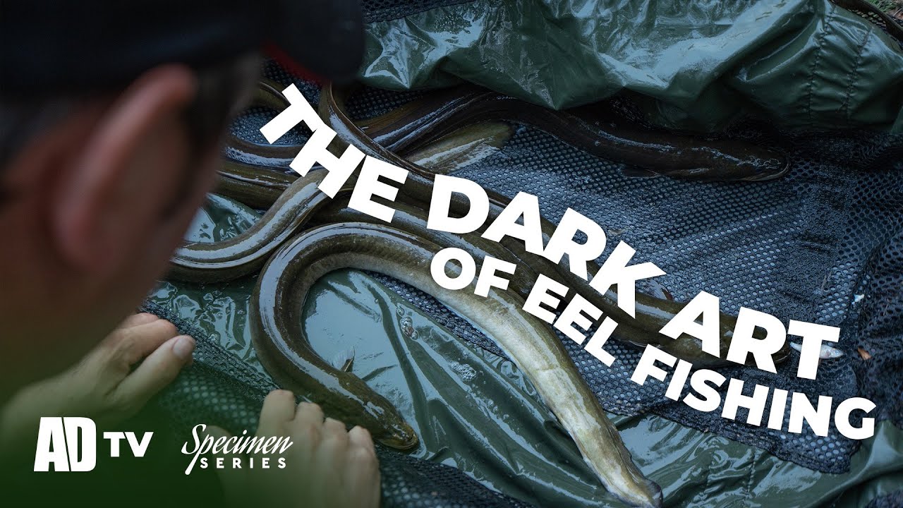 Phil Spinks Specimen Series - Gravel Pit Eel Fishing - YouTube