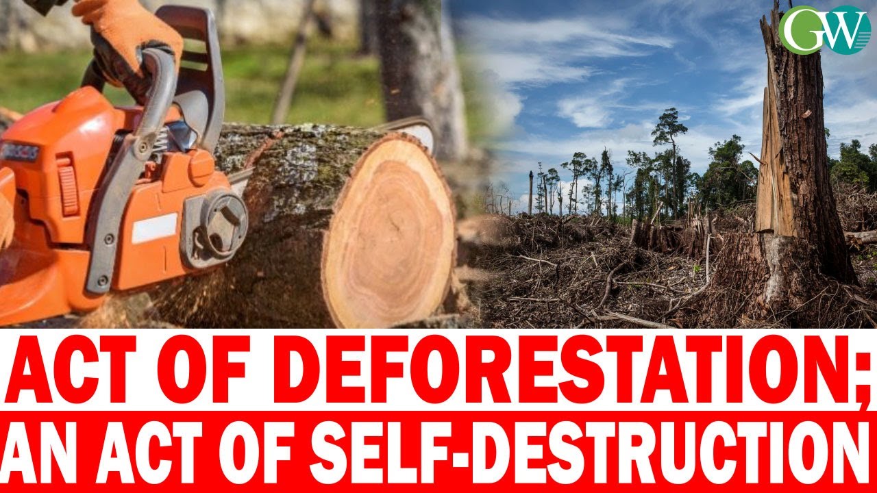 ACT OF DEFORESTATION; AN ACT OF SELF-DESTRUCTION - YouTube