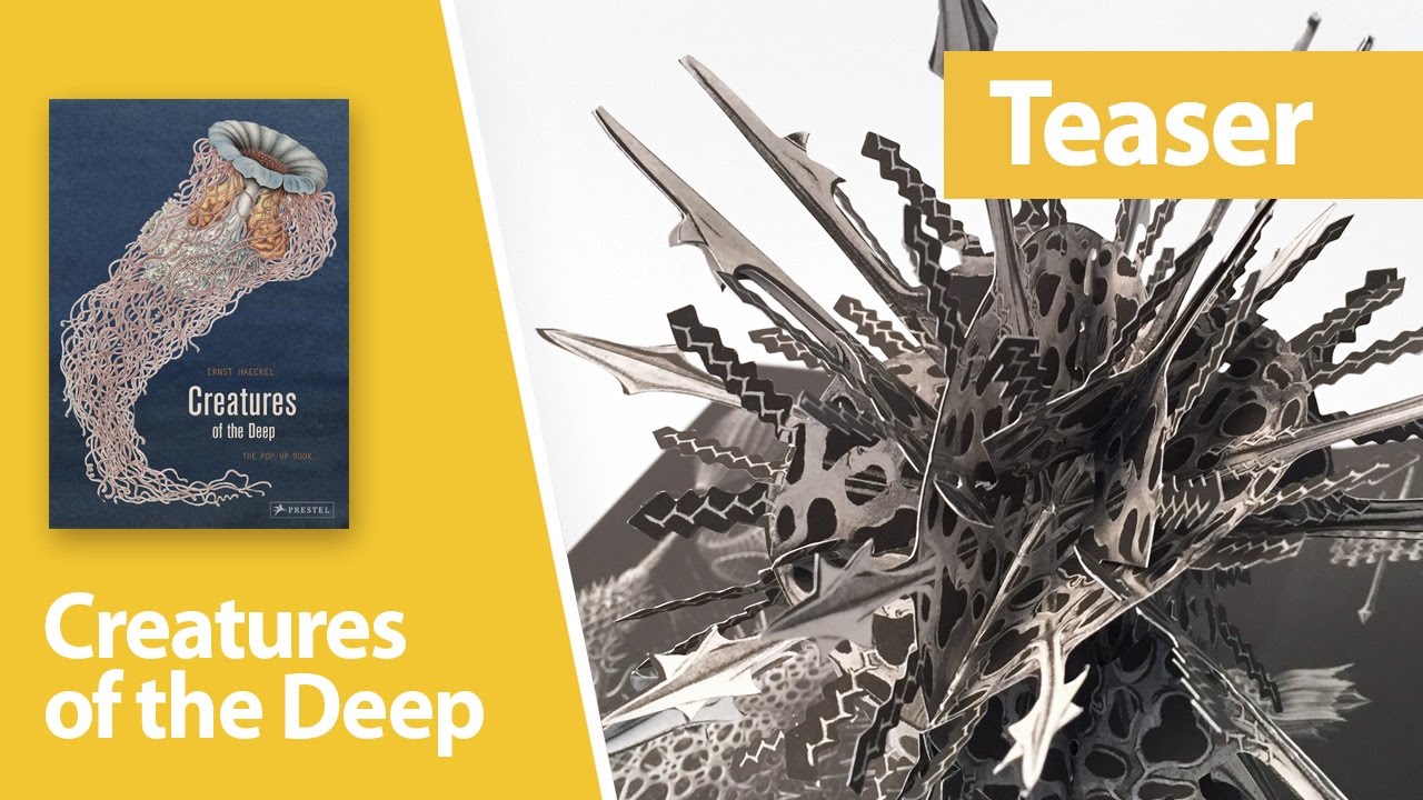 Creatures of the Deep: The Pop-up Book (teaser) - YouTube
