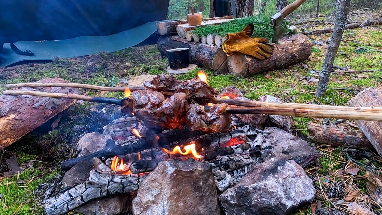 Juicy lamb meat cooked on a campfire alone in the forest. ASMR. Outdoor ...
