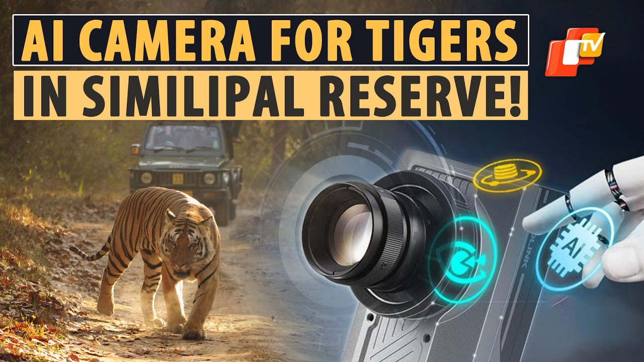 AI Camera To Be Installed For First Time In Country In Odisha To ...