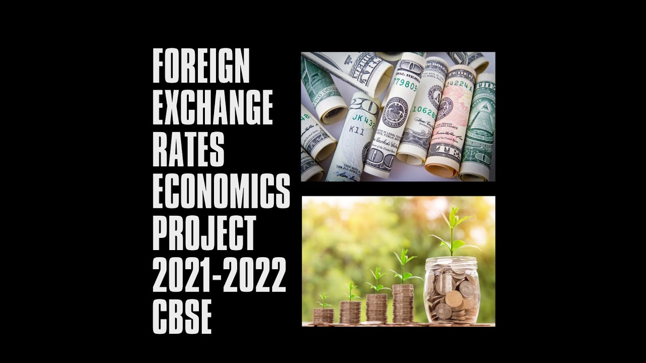Foreign Exchange And BOP Economics Project Class 12 Latest CBSE ...