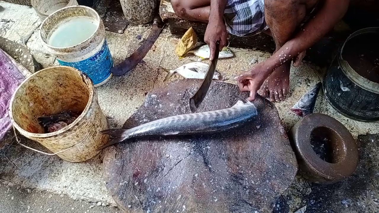 2 Kg Sheela fish cutting #சீலா மீன் 2 கிலோ - YouTube