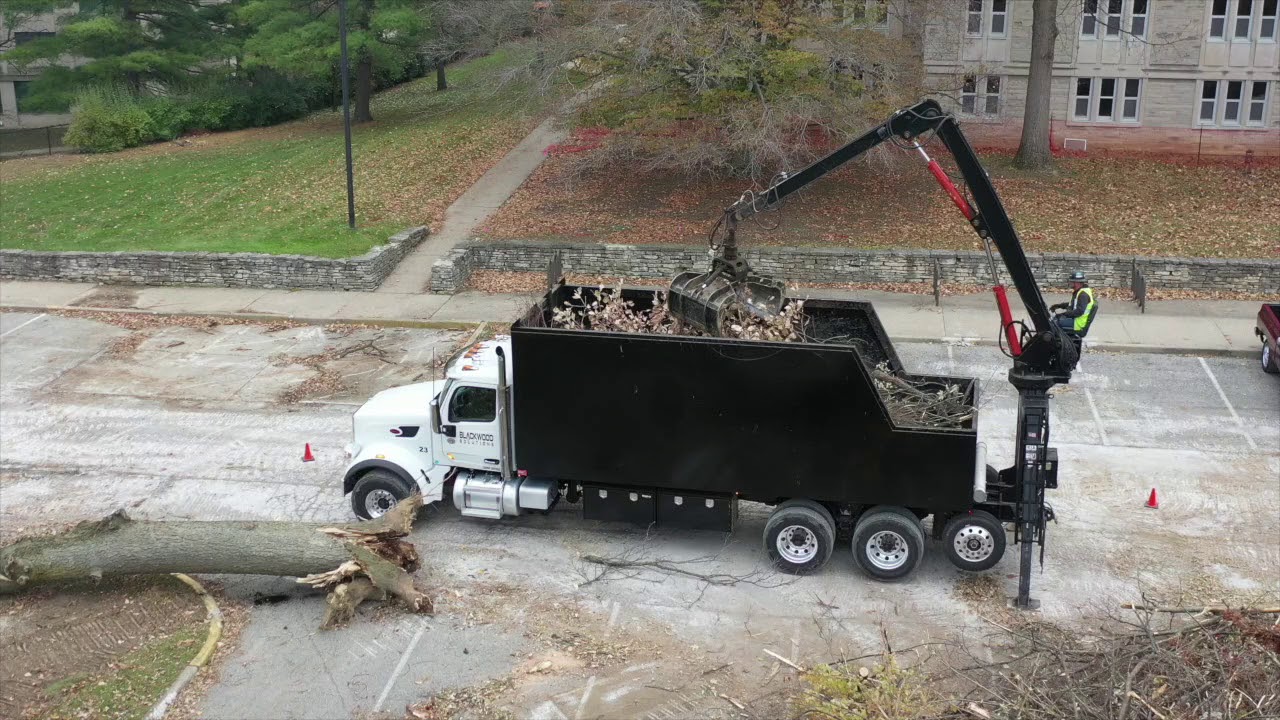 Blackwood Solutions Brush & Vegetation - YouTube