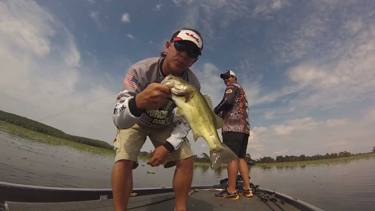 Bass Fishing Tips: How to Fish V&M Baits Bayou Bullfrog (Topwater Frog ...