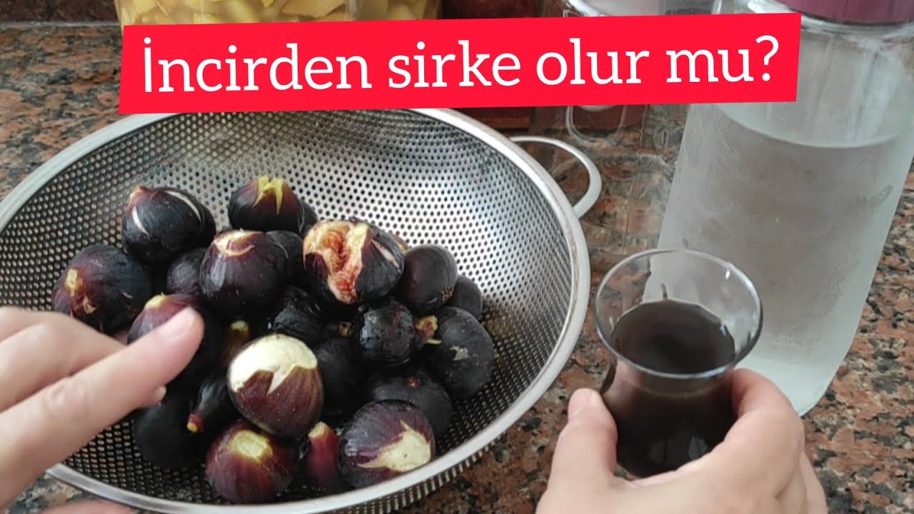 İncir sirkesi nasıl yapılır? - YouTube