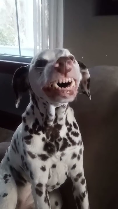 When You Tell Her Shes Beautiful Youtube