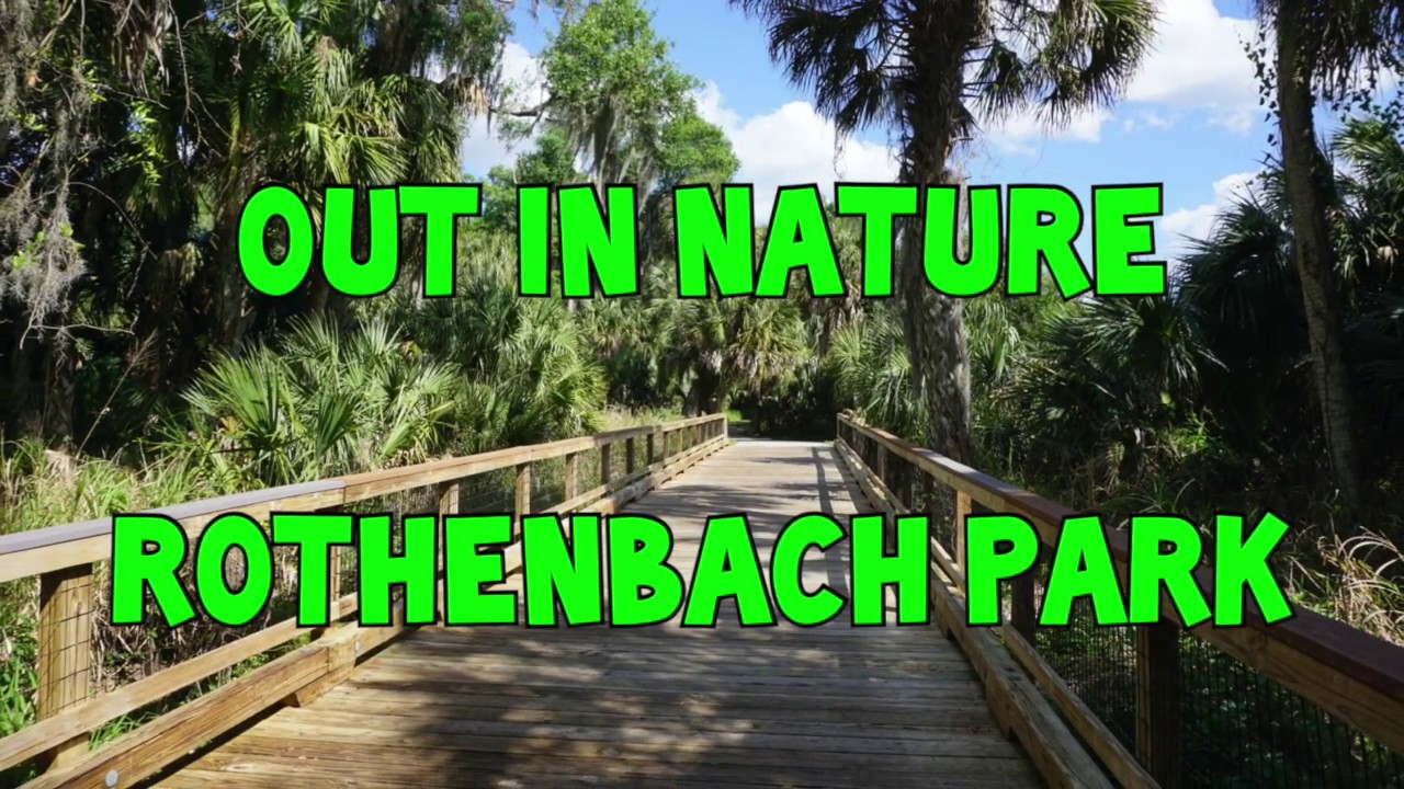 Out in Nature - Rothenbach Park, Sarasota, FL - YouTube
