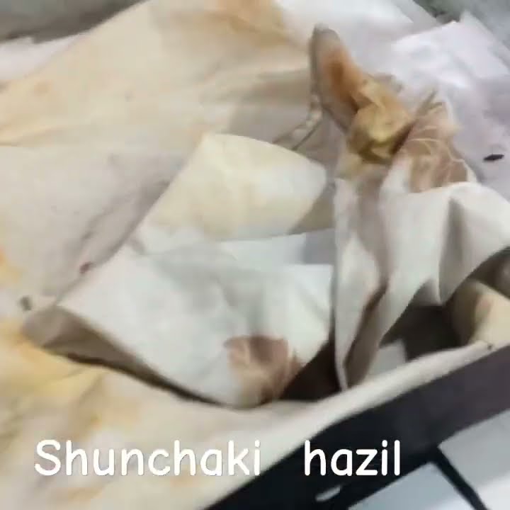 hazil #100k - YouTube