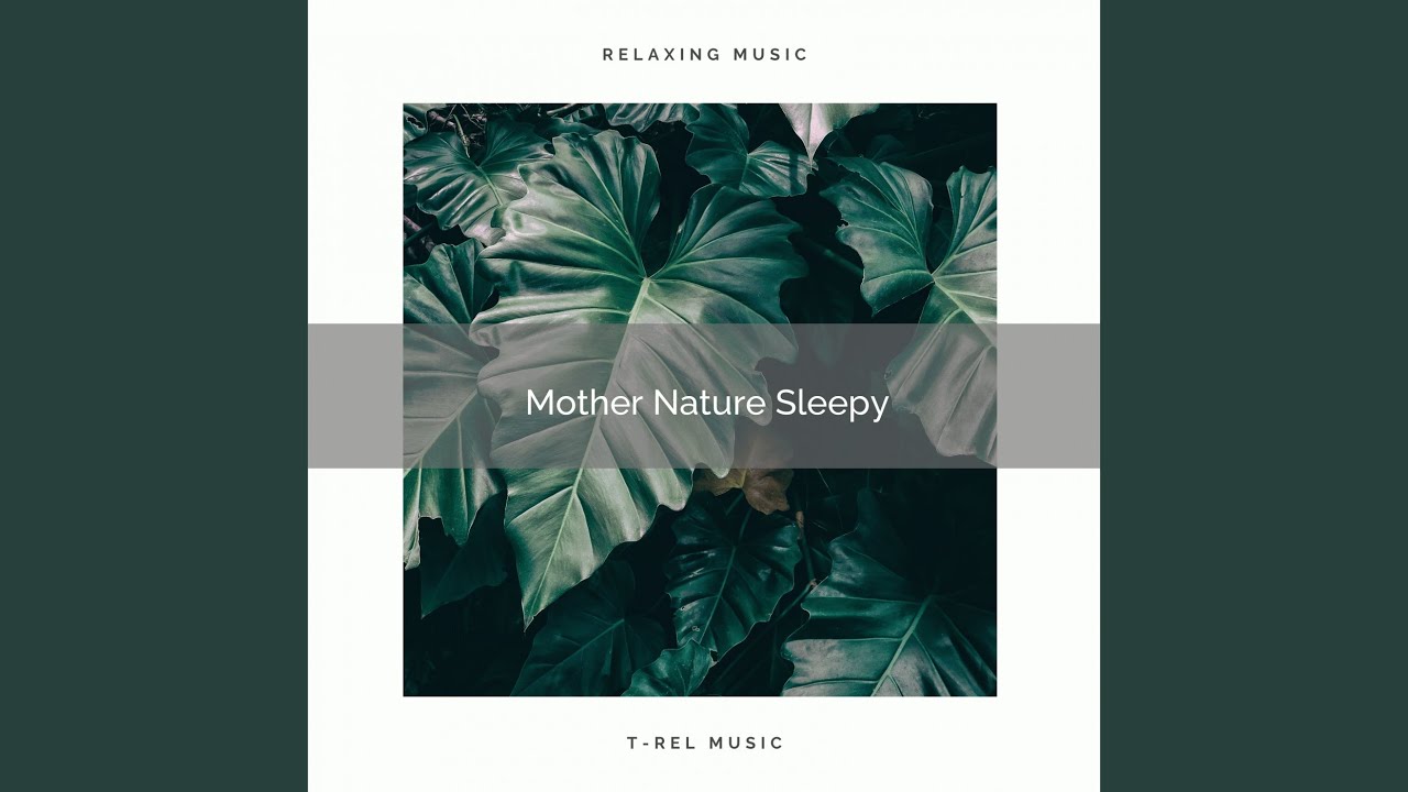 Gain Sleep with Calm Nature Noises for Relax - YouTube