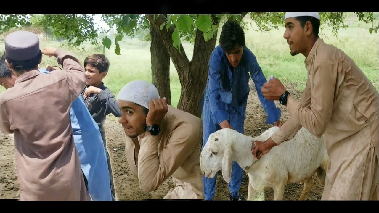 pushpa don ne bakri churai ha 😂 - YouTube