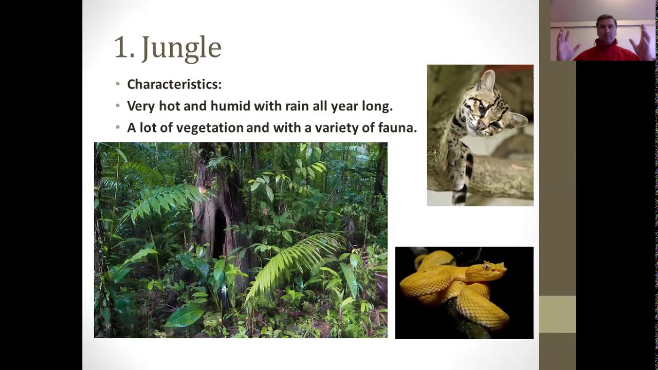 Videolesson Social 3rd 28 May - YouTube