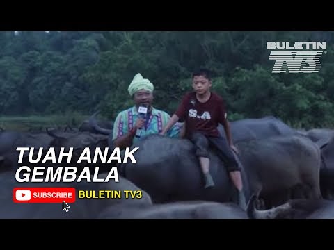 SYUKUR KHAMIS | Tuah Anak Gembala