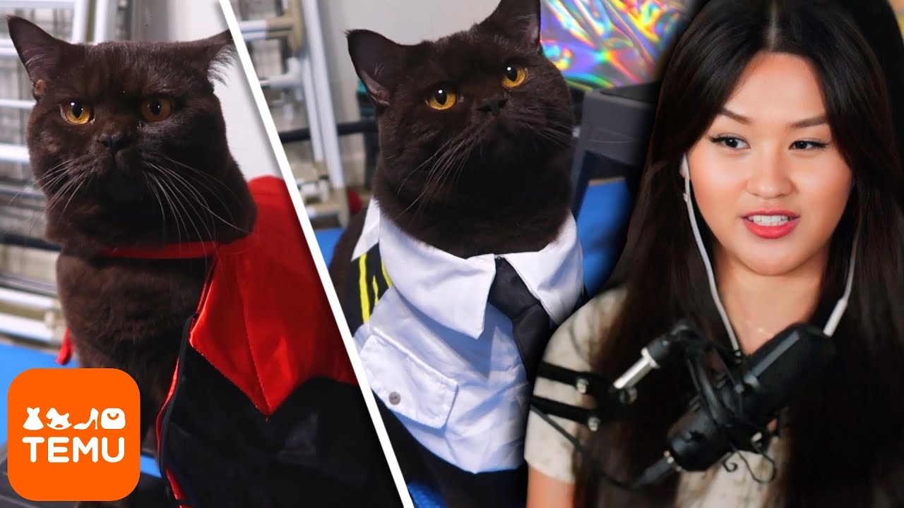 I got my cat silly cosplays from Temu - YouTube