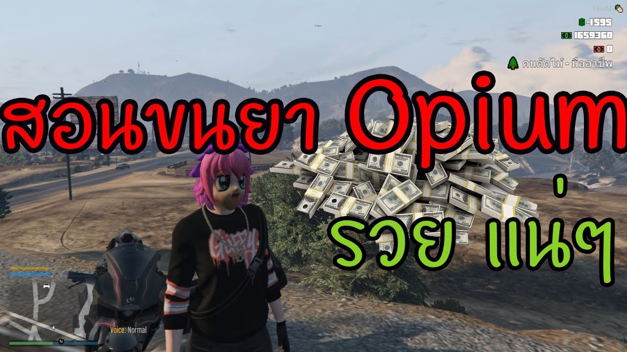 gta roleplay ขนยา Opium หาเงินแบบรวดเร็ว!! โคตร รวย!!#9 - YouTube