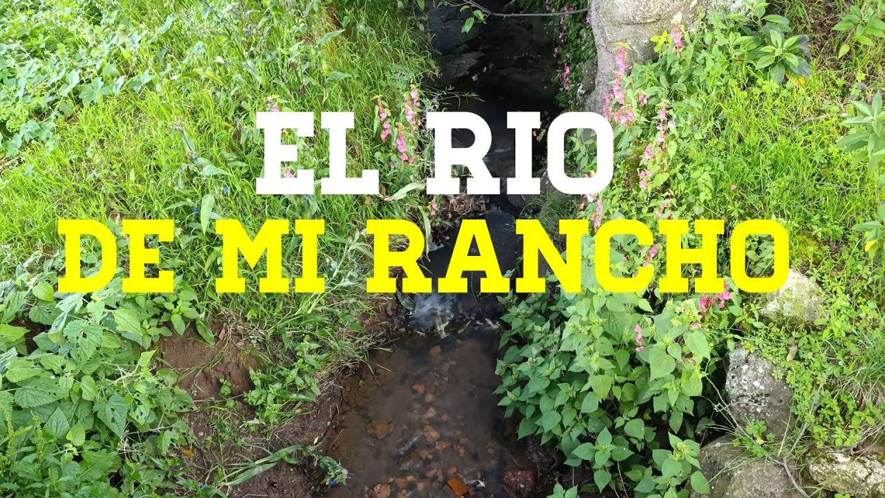 ASI CORRE EL AGUA EN EL RIO DE MI RANCHO🤠 SANTIAGO TOXHIE ACULCO ESTADO ...