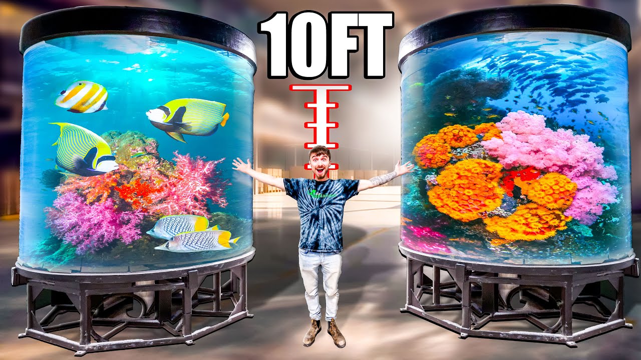$100,000 Fish Tank Installed! - YouTube