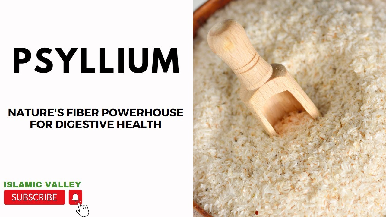 Psyllium || psyllium husk how to use || psyllium seed - YouTube