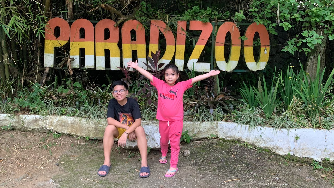ParadiZoo - YouTube