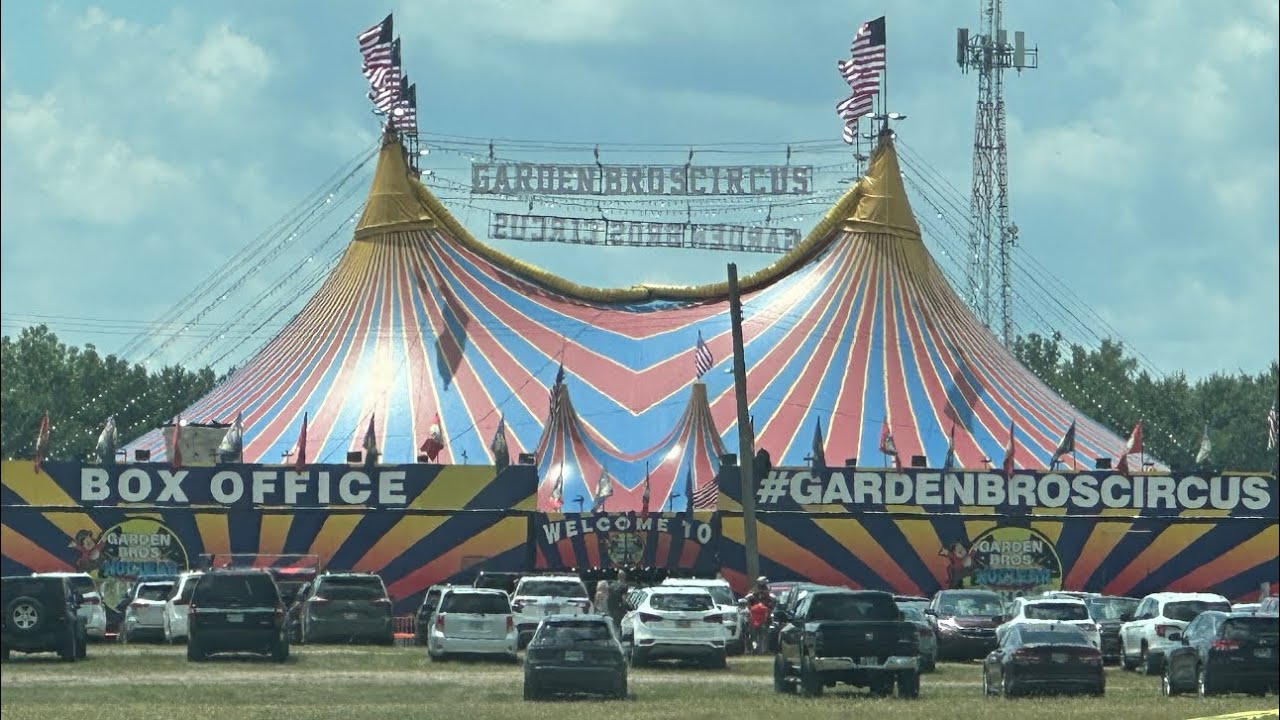 AMAZING circus show starring DOGS! #circus #dog #family #entertainment ...