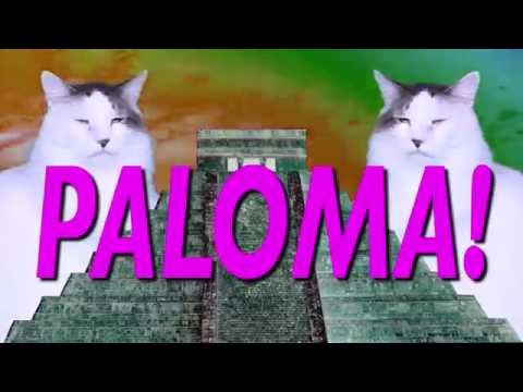 ¡FELIZ CUMPLEAÑOS PALOMA! Canción Comica de Cumpleaños
