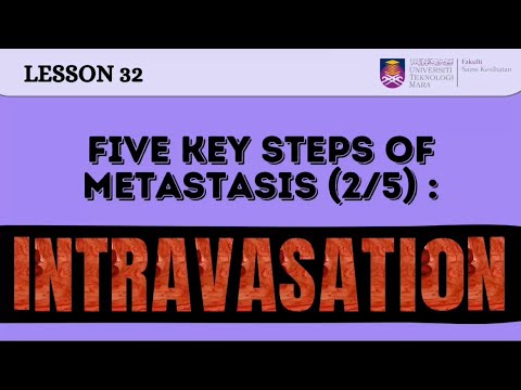 Five Key Steps of Metastasis: (2/5) Intravasation - YouTube