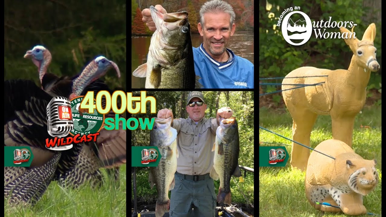 TN WildCast Celebrating 400 Episodes of Stories and Insights - TN ...