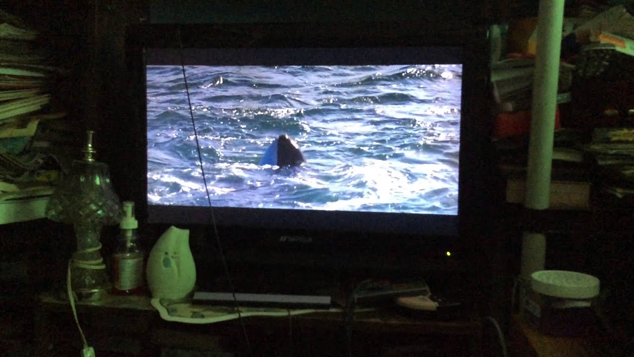 Free Willy: Movie Intro - YouTube