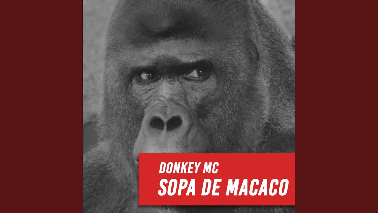 Sopa de Macaco (Original Mix) - YouTube
