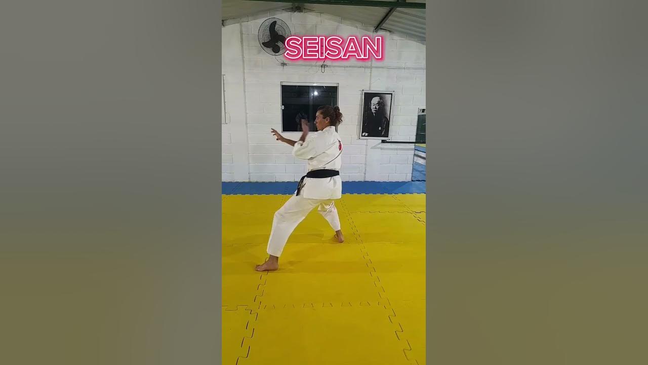 kata Seisan Goju Ryu By Sensei Carine #kataseisan #Seisan #katagojuryu #kataikga #katagojukai ...