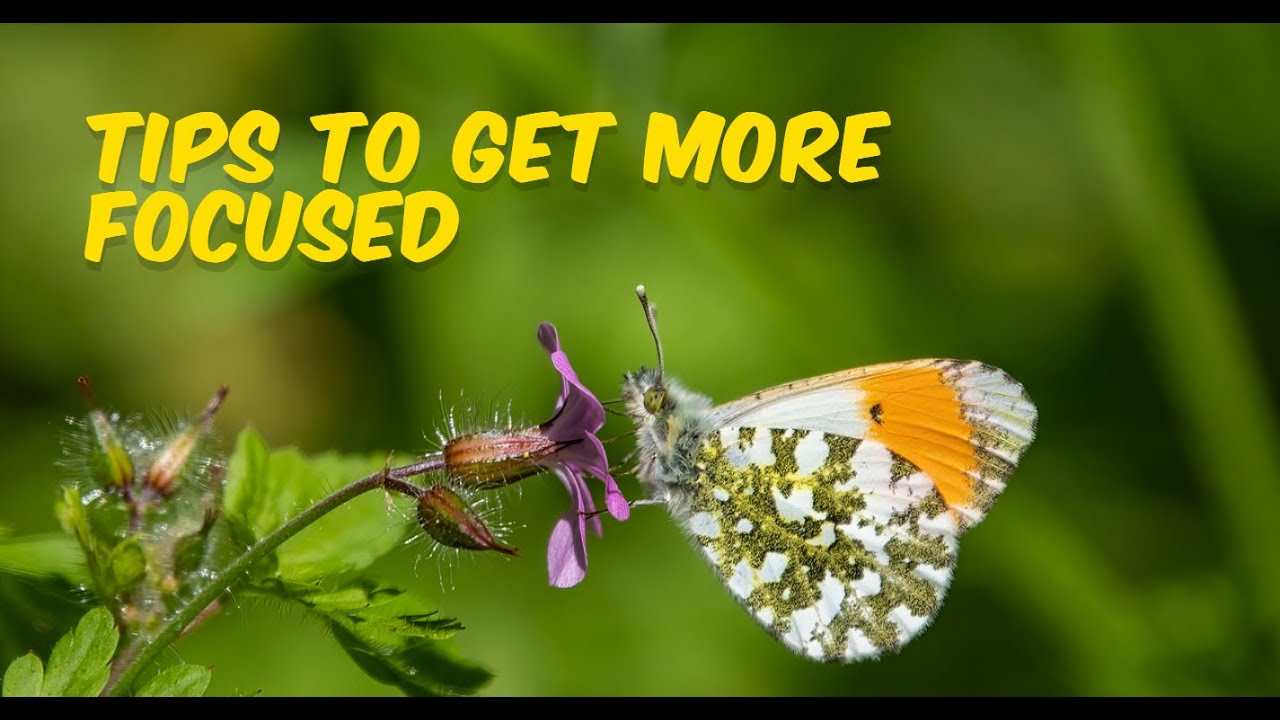 simple tips and tricks to help to focus more - YouTube