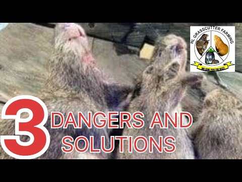 3 dangers and solutions. - YouTube