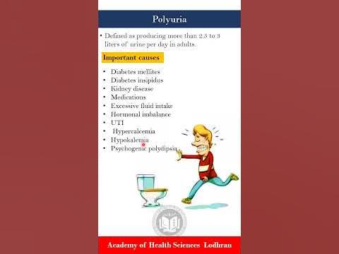 Understanding Polyuria: Causes and Symptoms | Pathology| by Imran ...