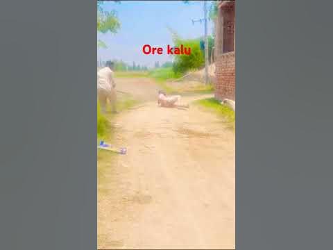 Ore kalu 😂😂😂😂comedy## - YouTube