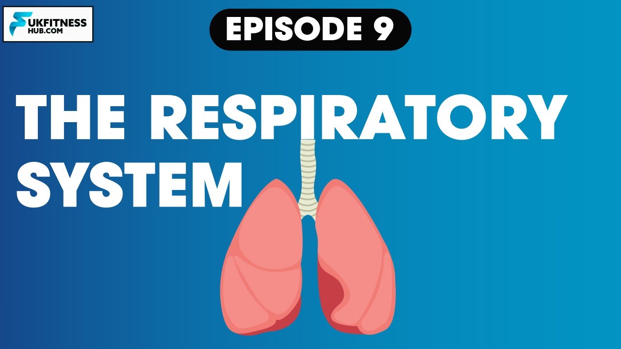 Sports and Exercise Science Series: EP9 The Respiratory System - YouTube