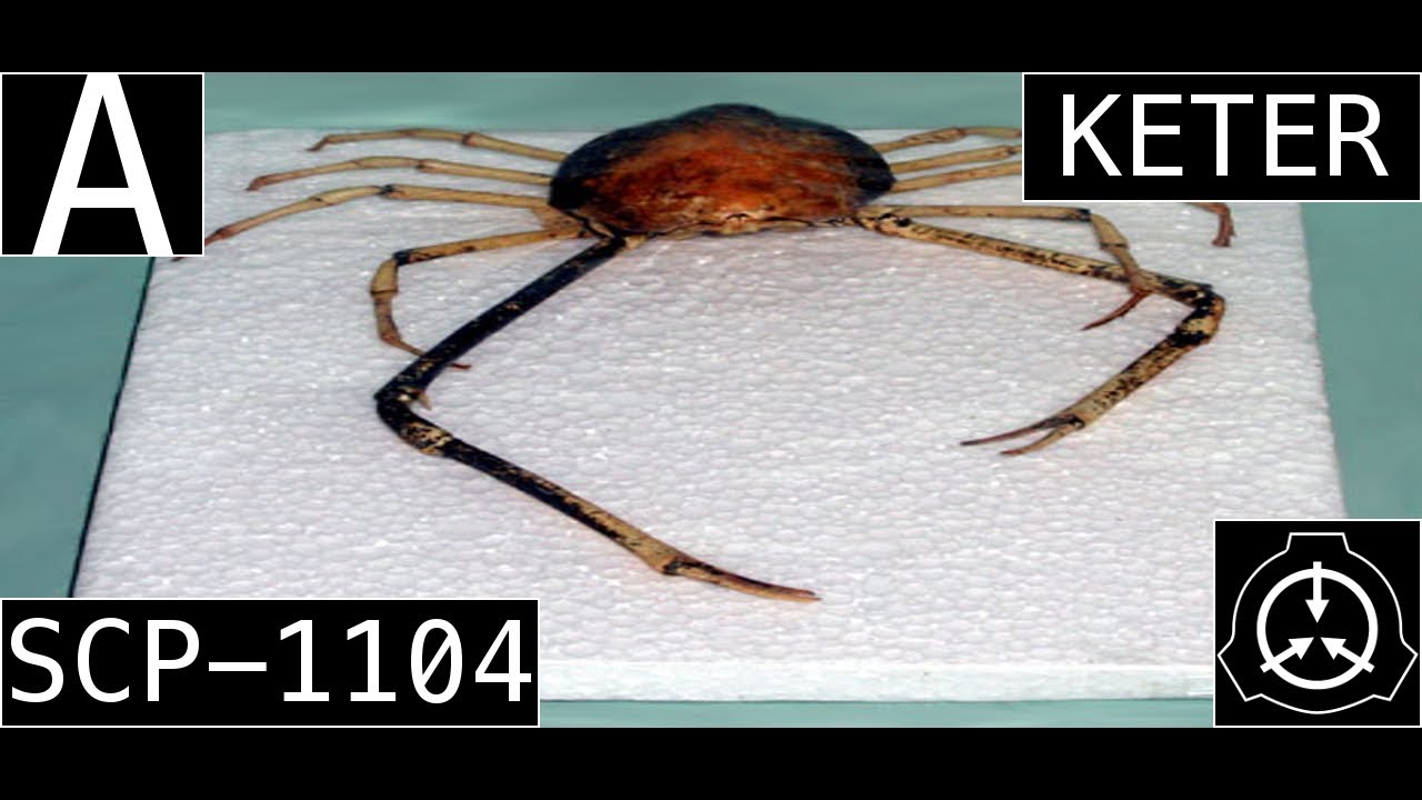 SCP-1104 "Nose Crab" [SCP Wikidot] - YouTube