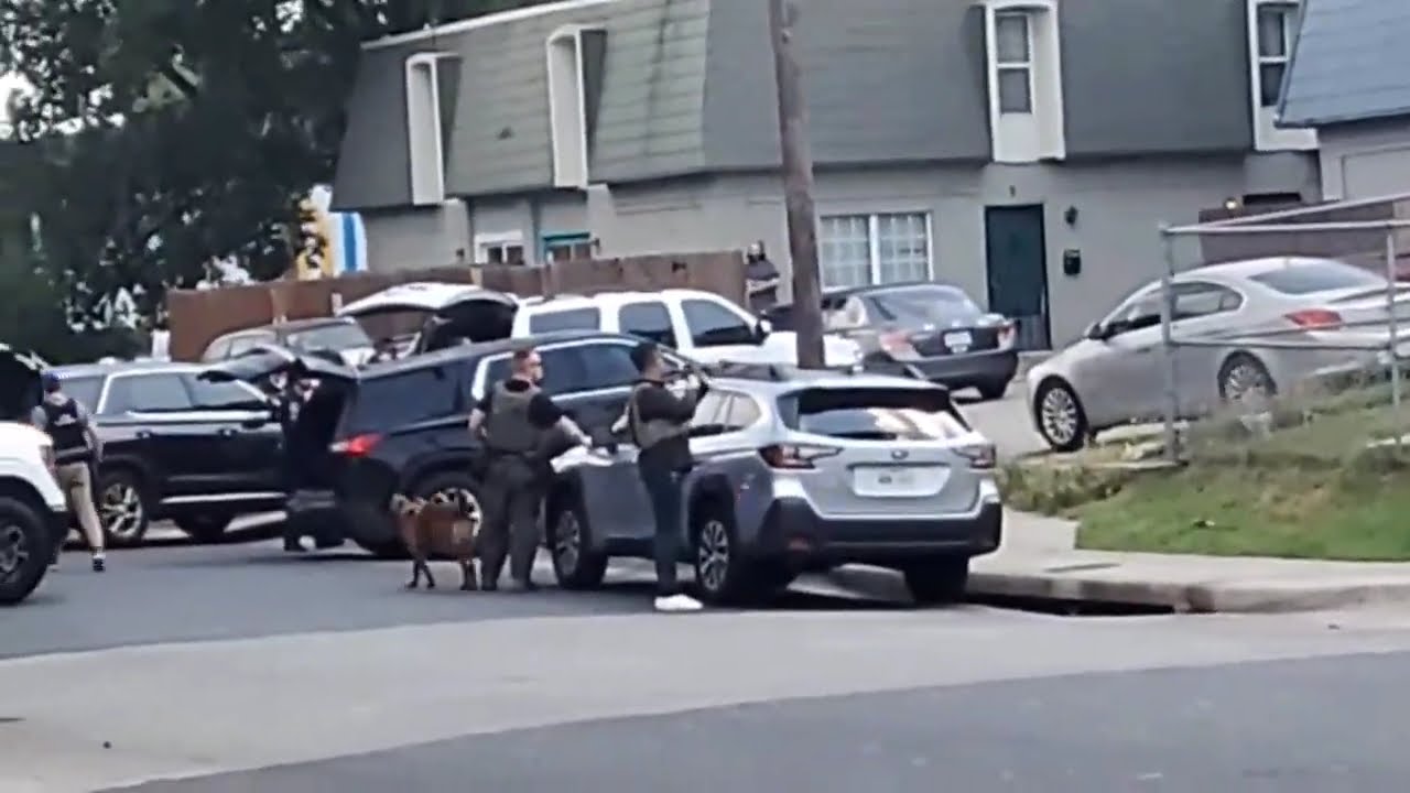 Lizzardo Giganticus is live! - YouTube