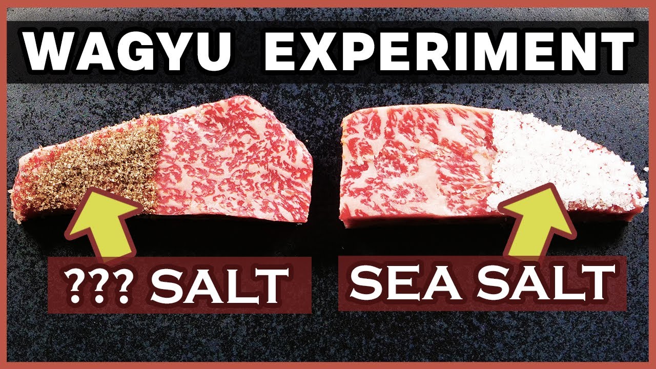 SALT EXPERIMENT With Japanese WAGYU From Kagoshima! - YouTube